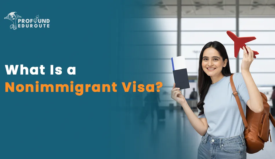 Immigrant and Nonimmigrant Visas: Types & Key Differences